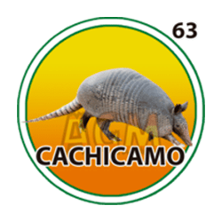 RESULTADOS DE LOS ANIMALITOS DE AYER - RULETA 777